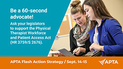 Flash Action Strategy | APTA