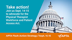 Flash Action Strategy | APTA